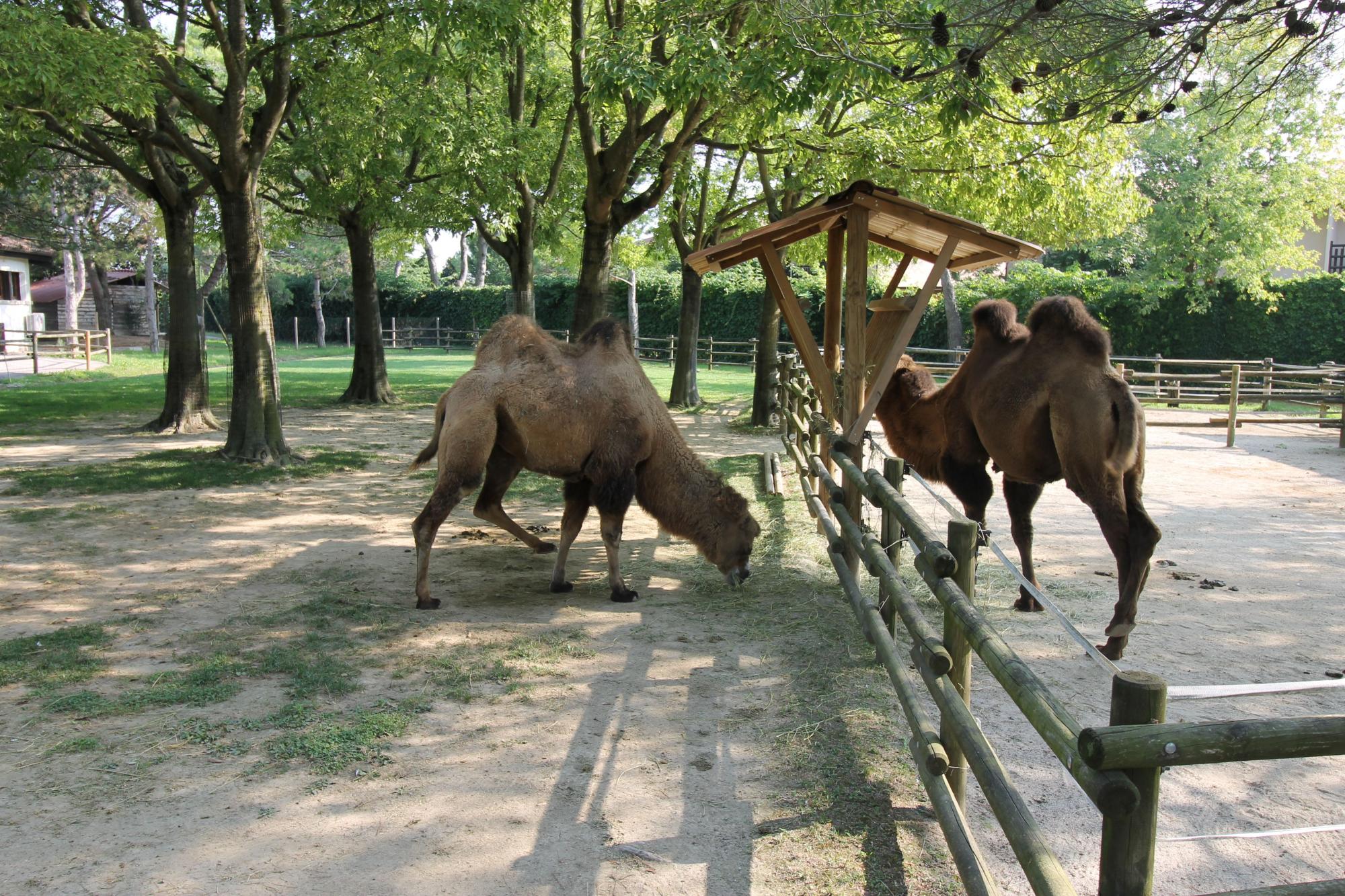 Bibione Insider Tipps - Zoo